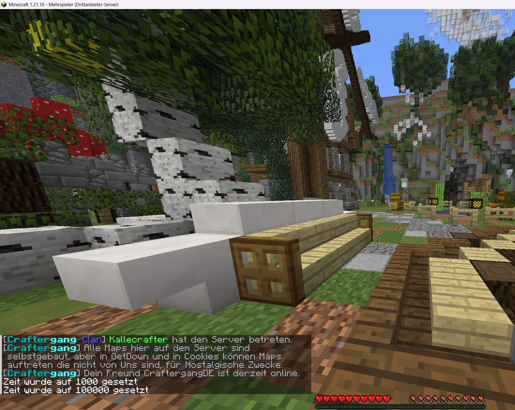 /time Command not working in 1.21.10 | LabyMod Idea