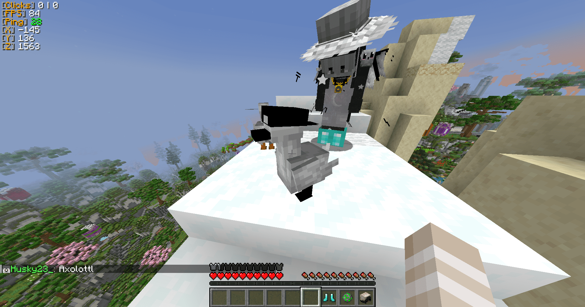 Goose have no eyes | LabyMod Idea